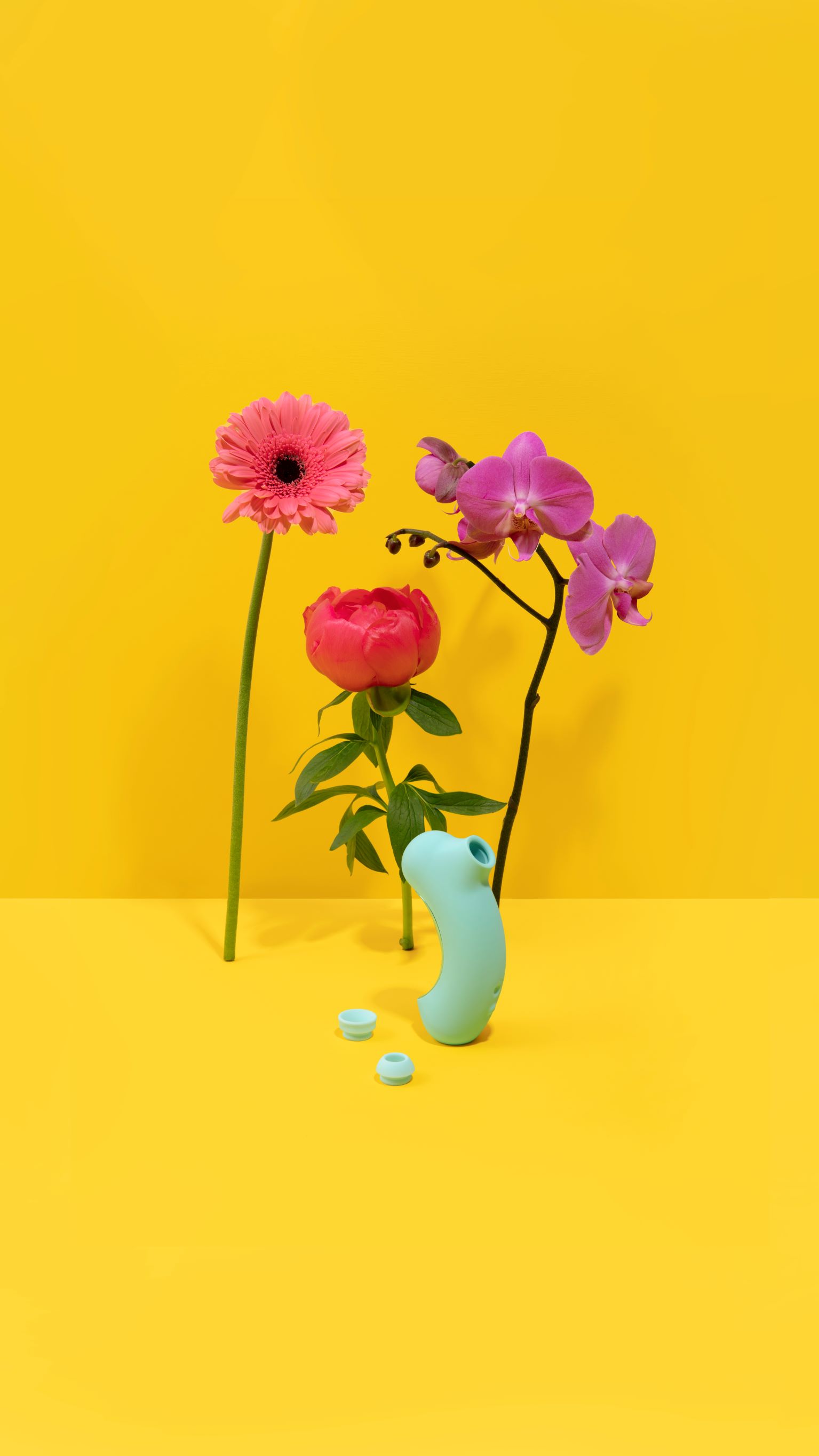 iF Design - MAMBO