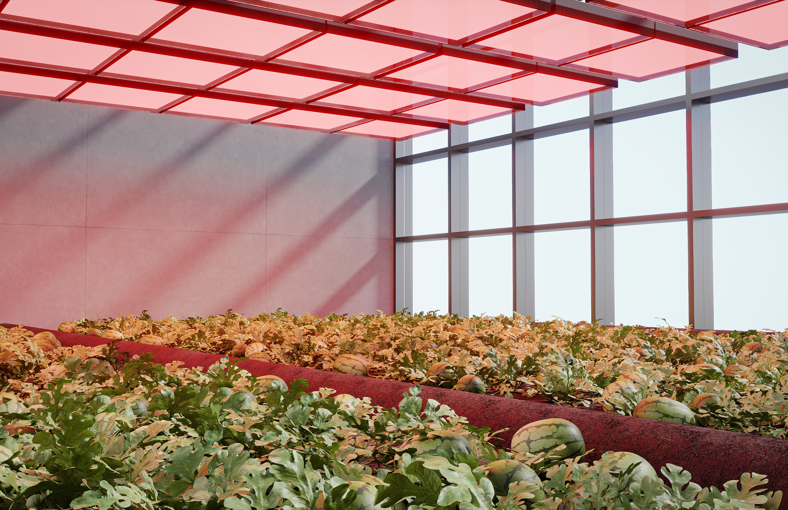 iF Design - Energy-saving Smart Plant Lighting