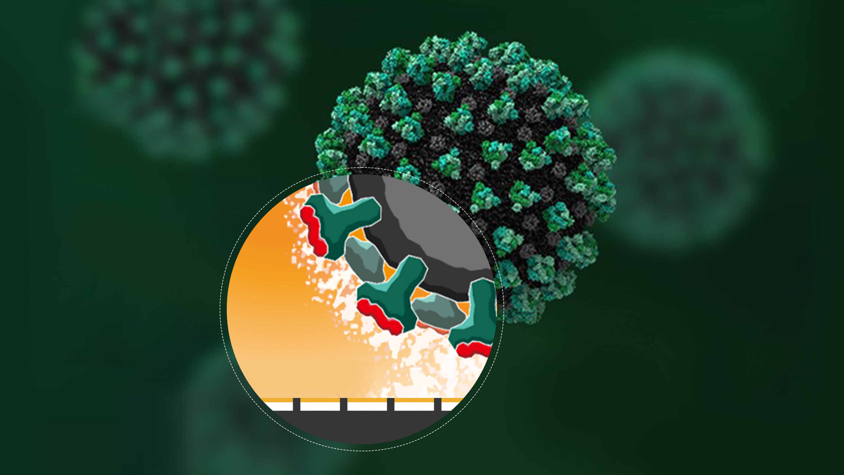 iF Design - Research and innovation for advanced bio-sensing