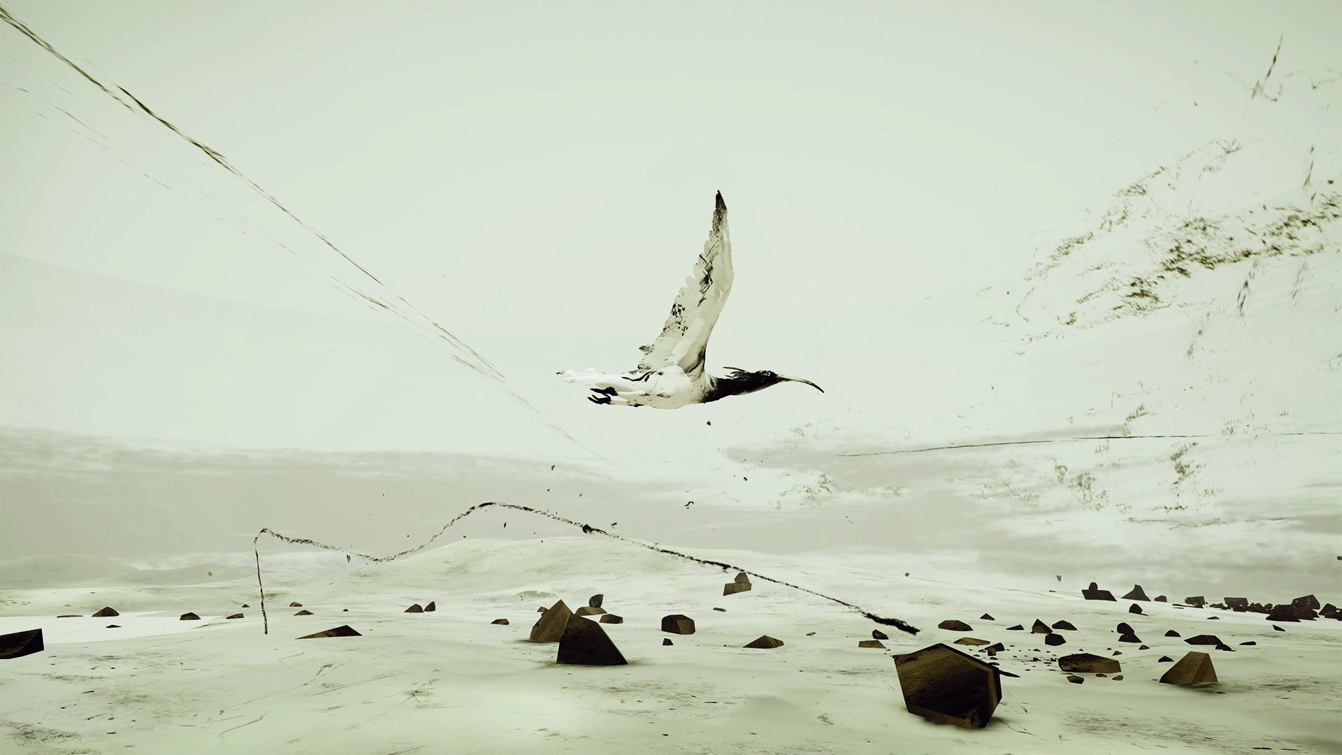 iF Design - MYRIAD. Where we connect.