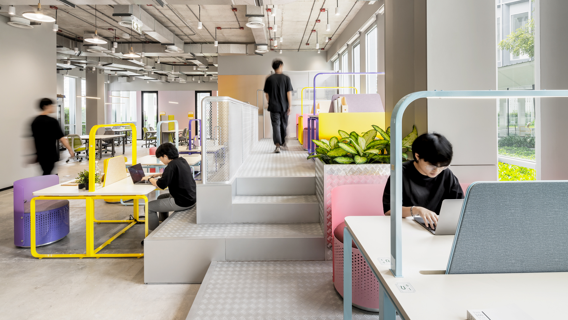 iF Design - SOCO WORK