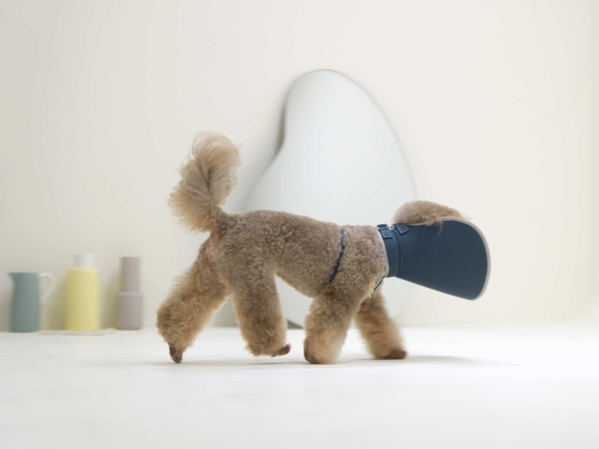 iF Design - tutu Half-Cone Collar