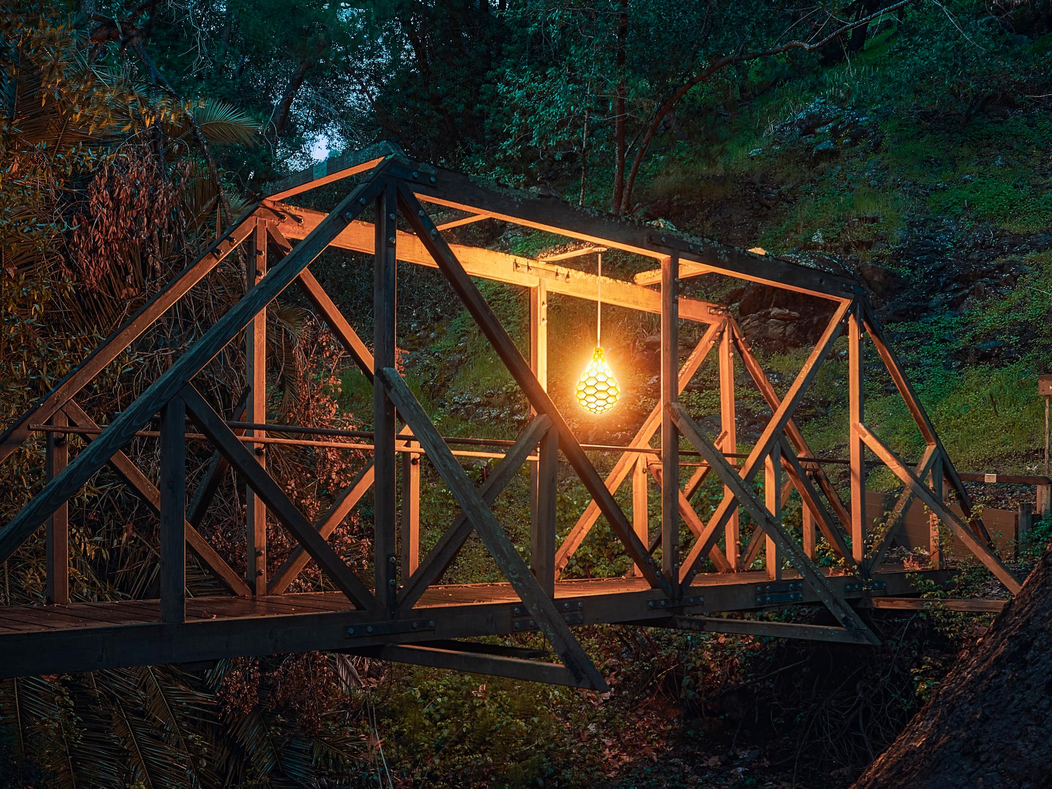 iF Design - Hedron Pendant