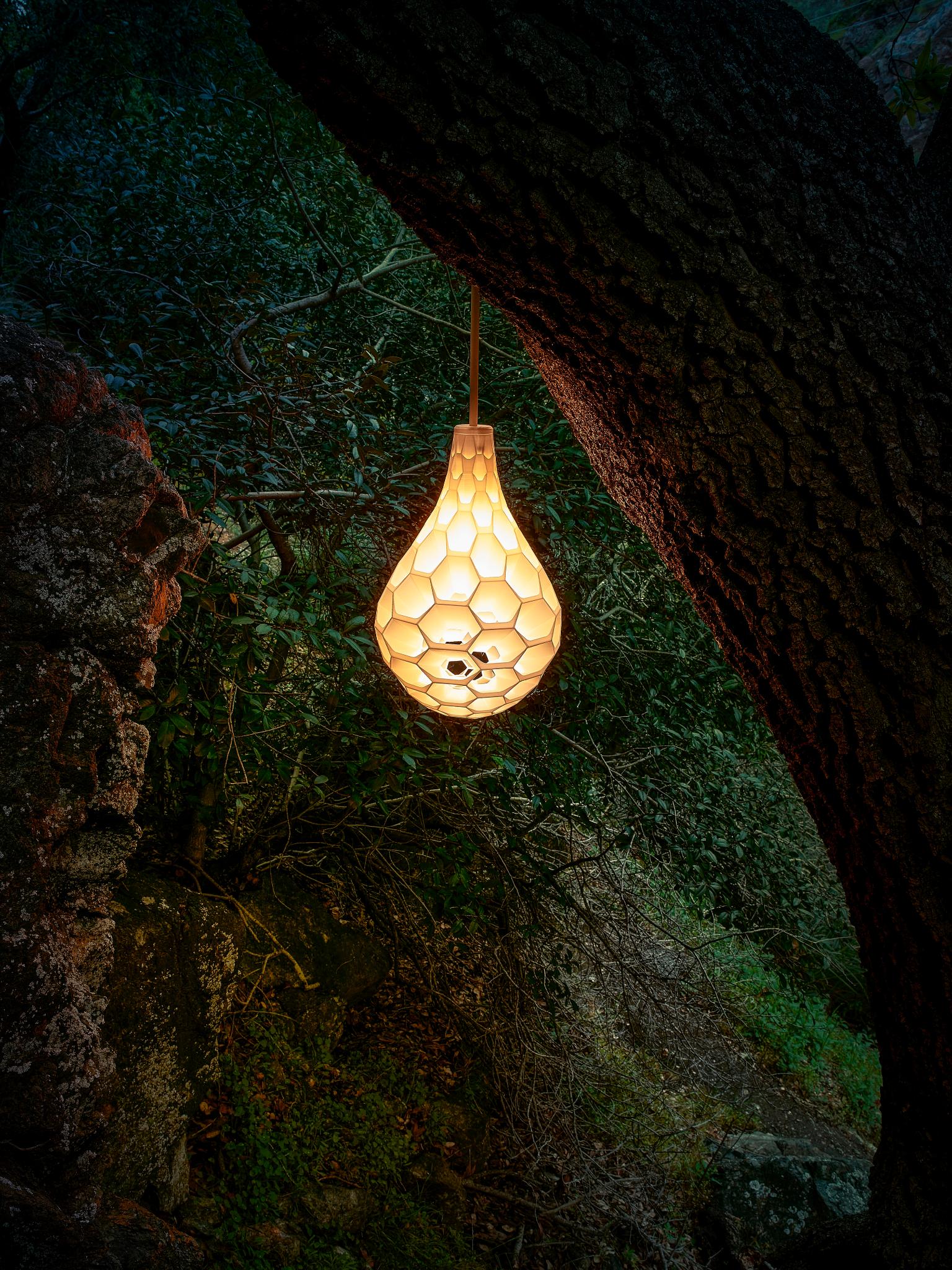 iF Design - Hedron Pendant