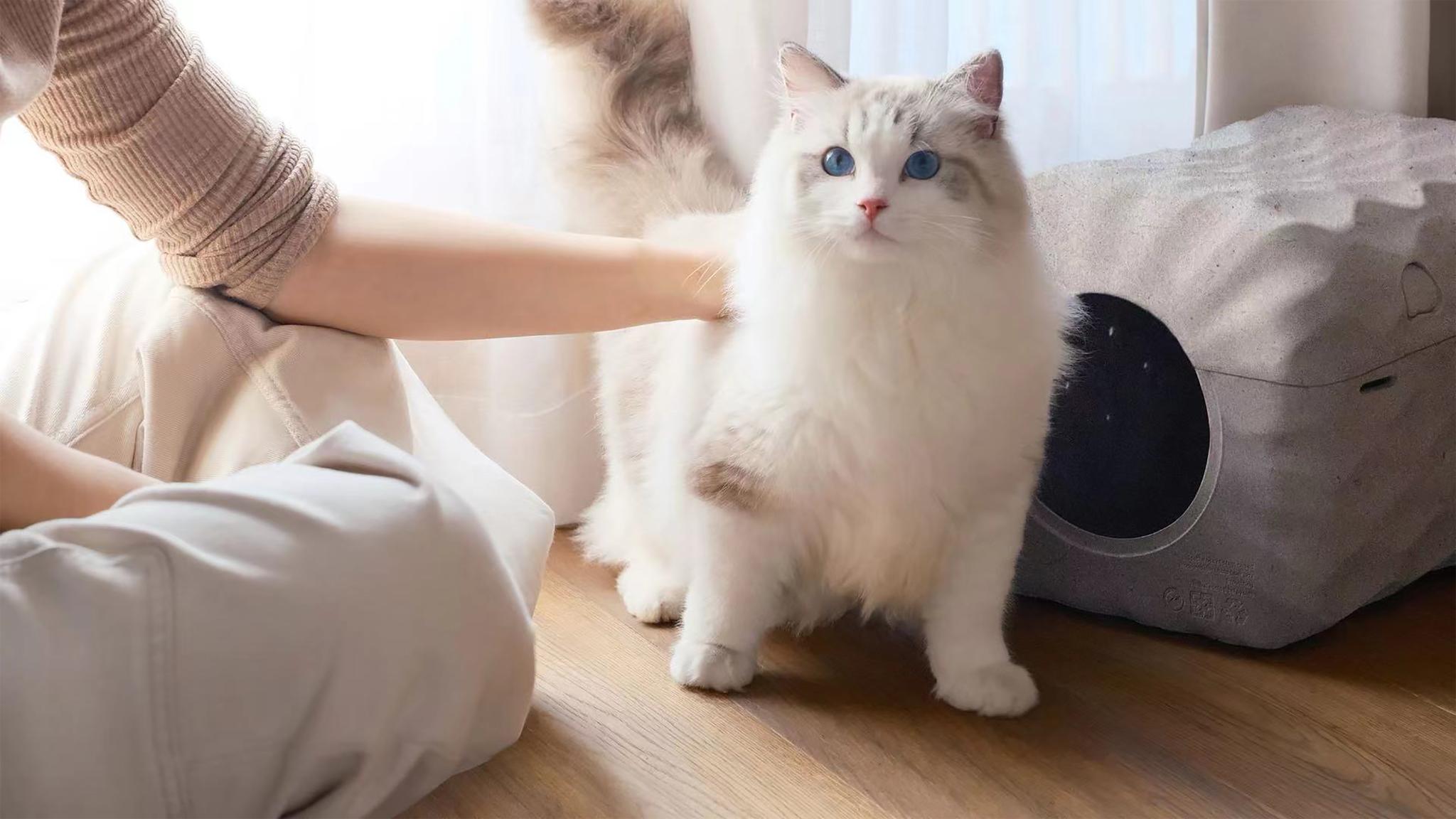 iF Design - Comfort Cave - Hospitalized Cat Hiding Box