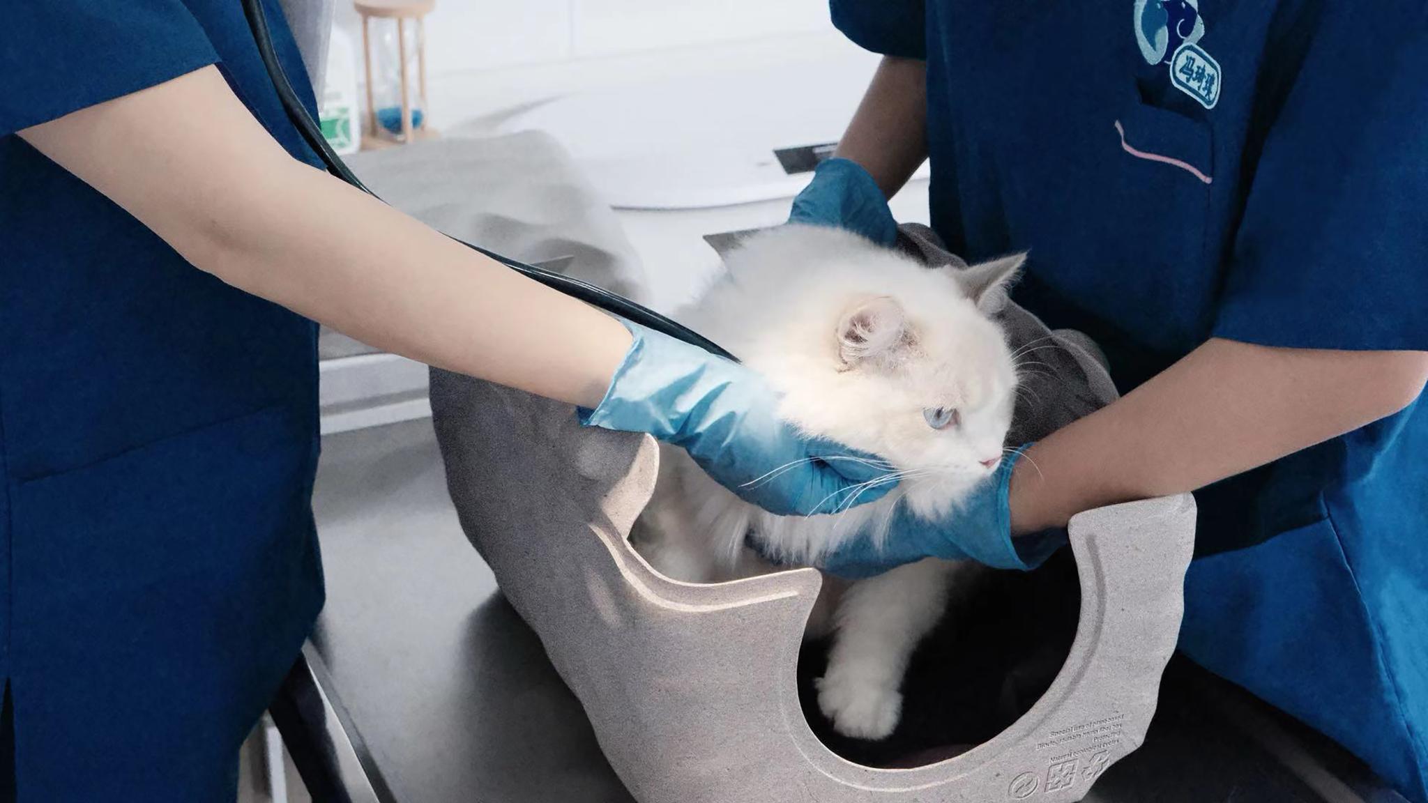 iF Design - Comfort Cave - Hospitalized Cat Hiding Box