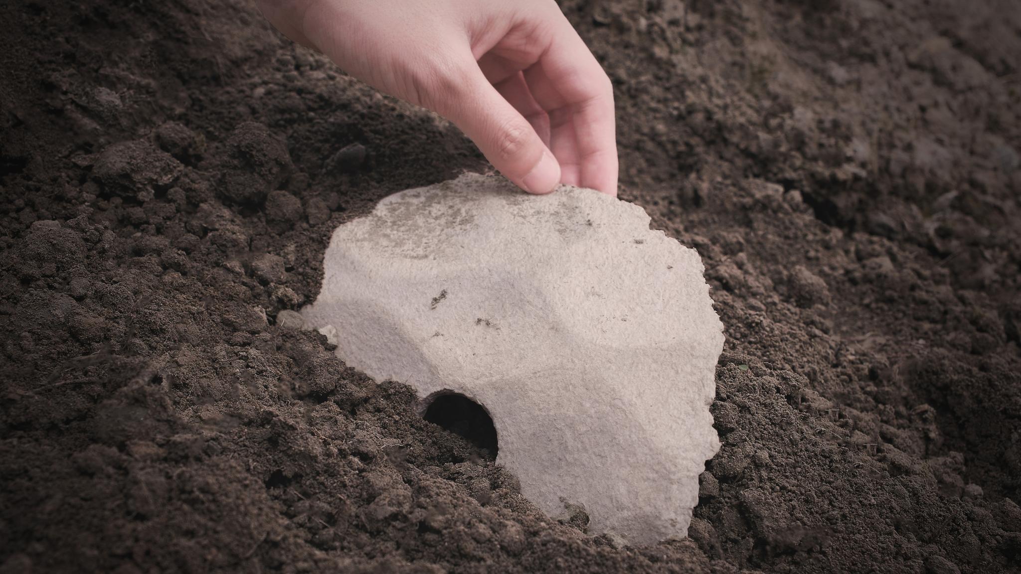 iF Design - Comfort Cave - Hospitalized Cat Hiding Box