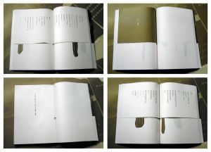 iF Design - The Poetry Collection of Agnes Lam