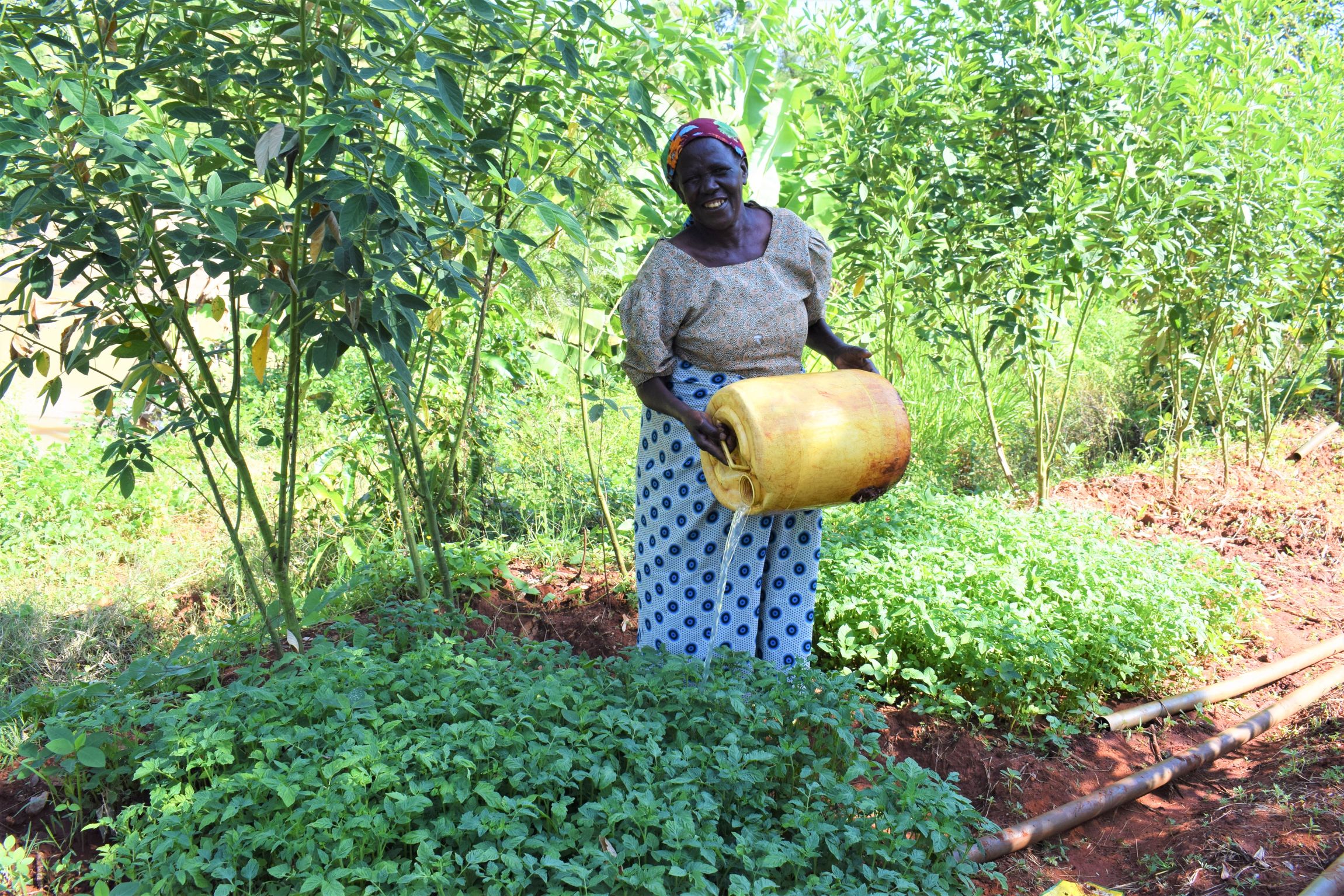 iF Design - Excellent Development