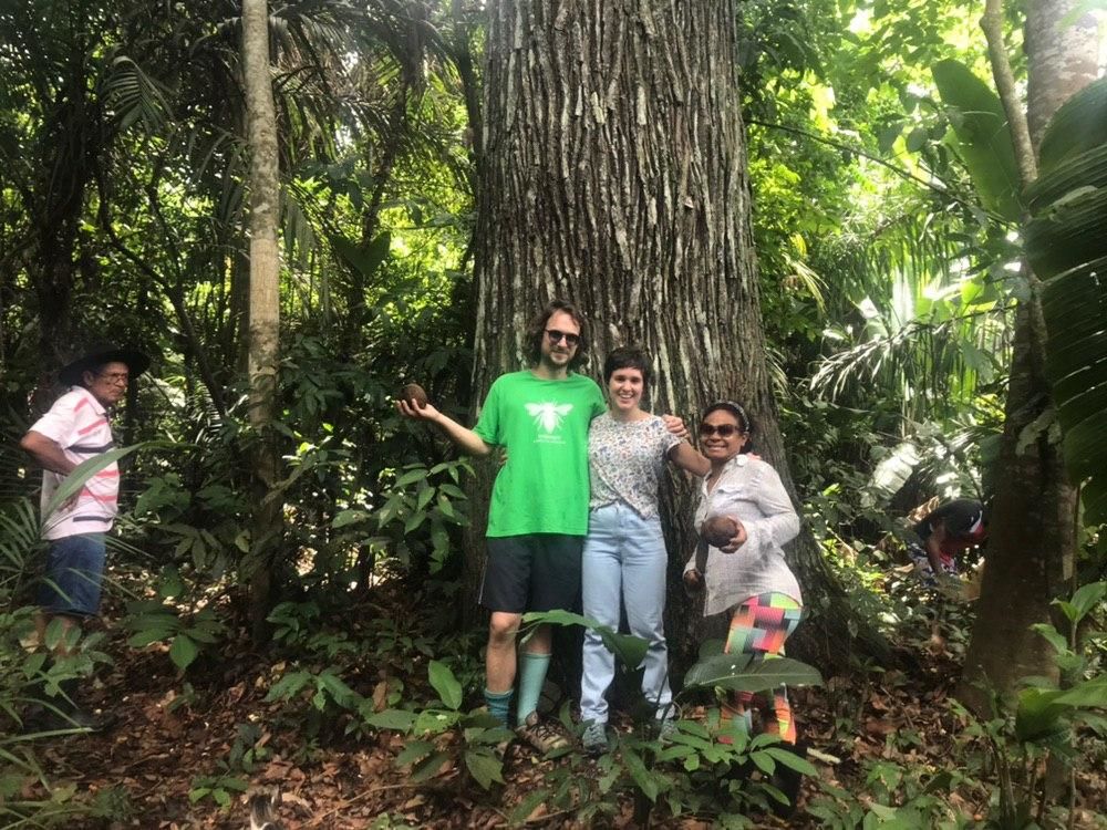 iF Design - Meli Bees Network