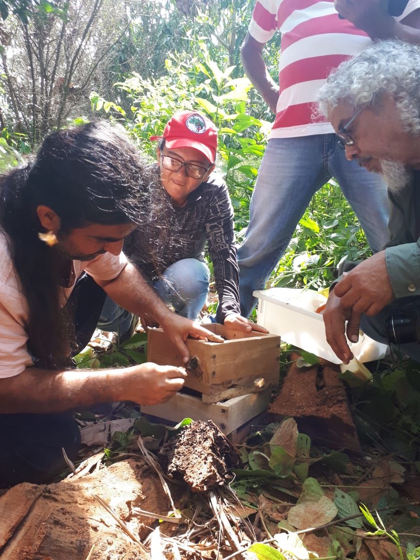 iF Design - Meli Bees Network