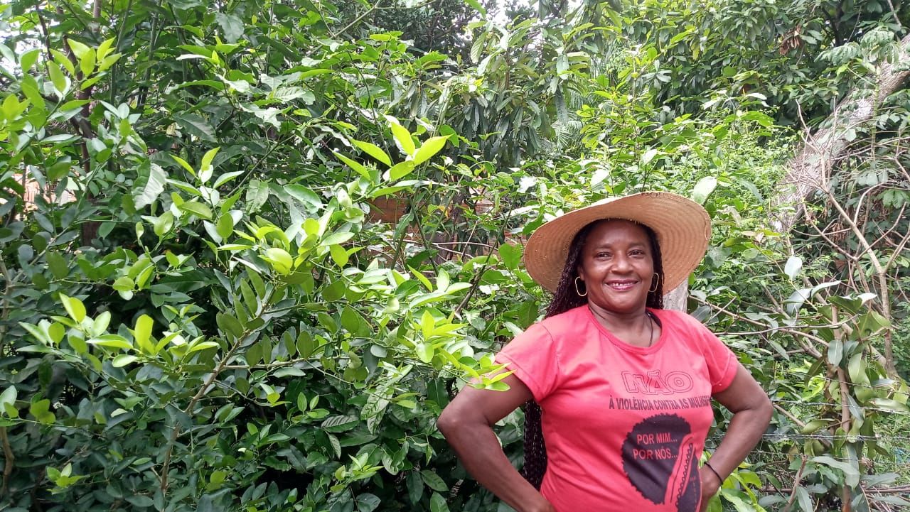 iF Design - Meli Bees Network