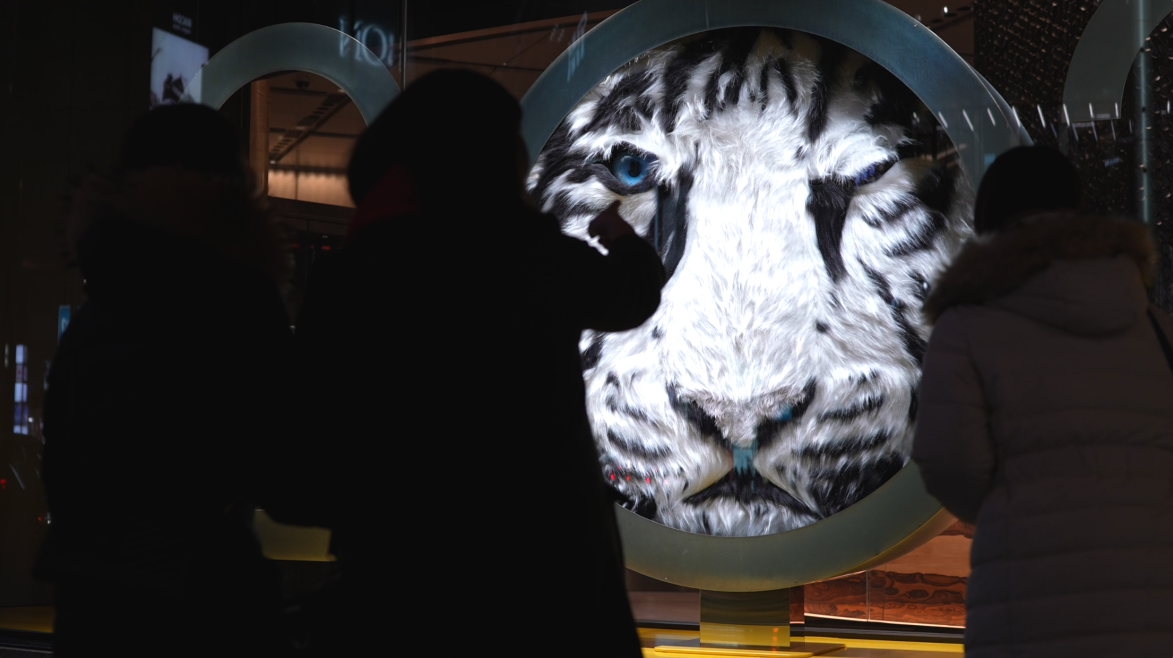 iF Design - Wako Main Building Show Window "Eyes"